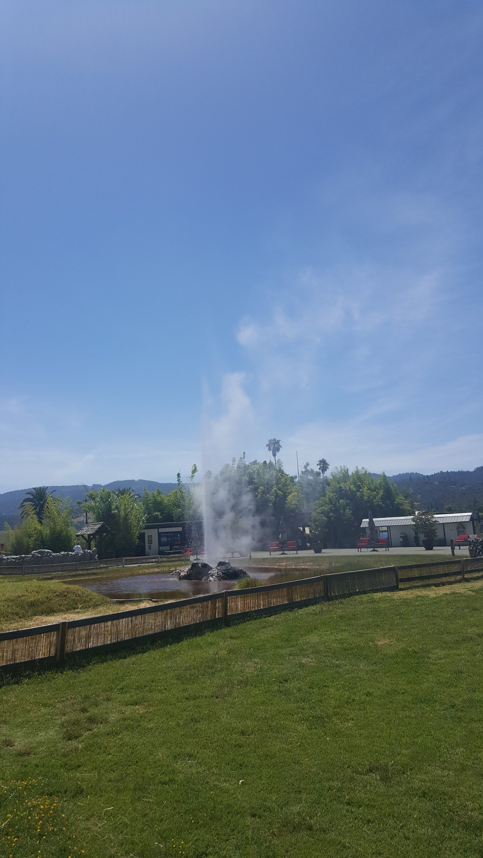 Old Faithful Geyser of California in Napa County - Parenting